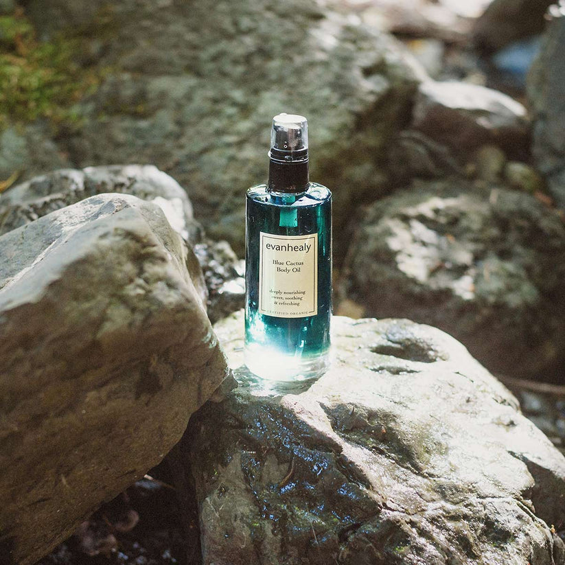 Blue Cactus Organic Body Oil Moisturizer | evanhealy