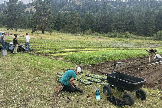 Soil & Skin – evanhealy