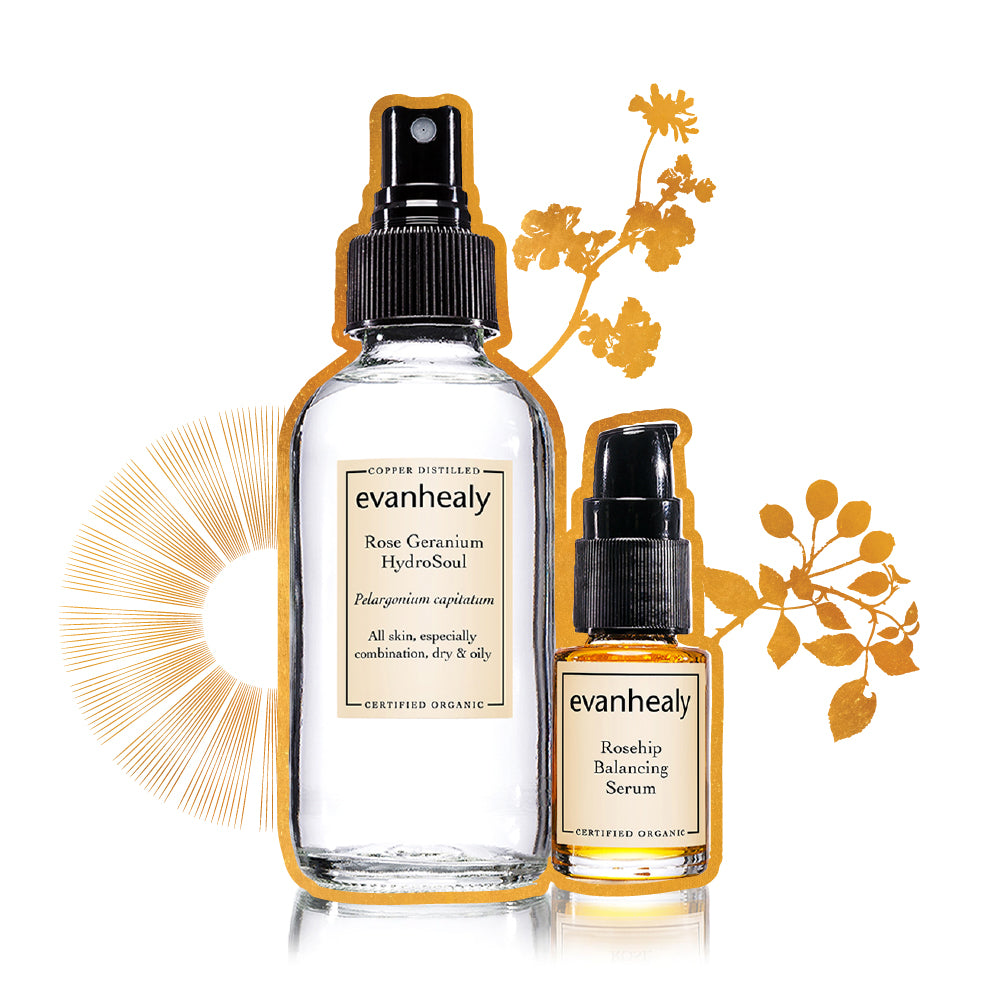 Oil & Water Balancing Skin Care Kit | evanhealy