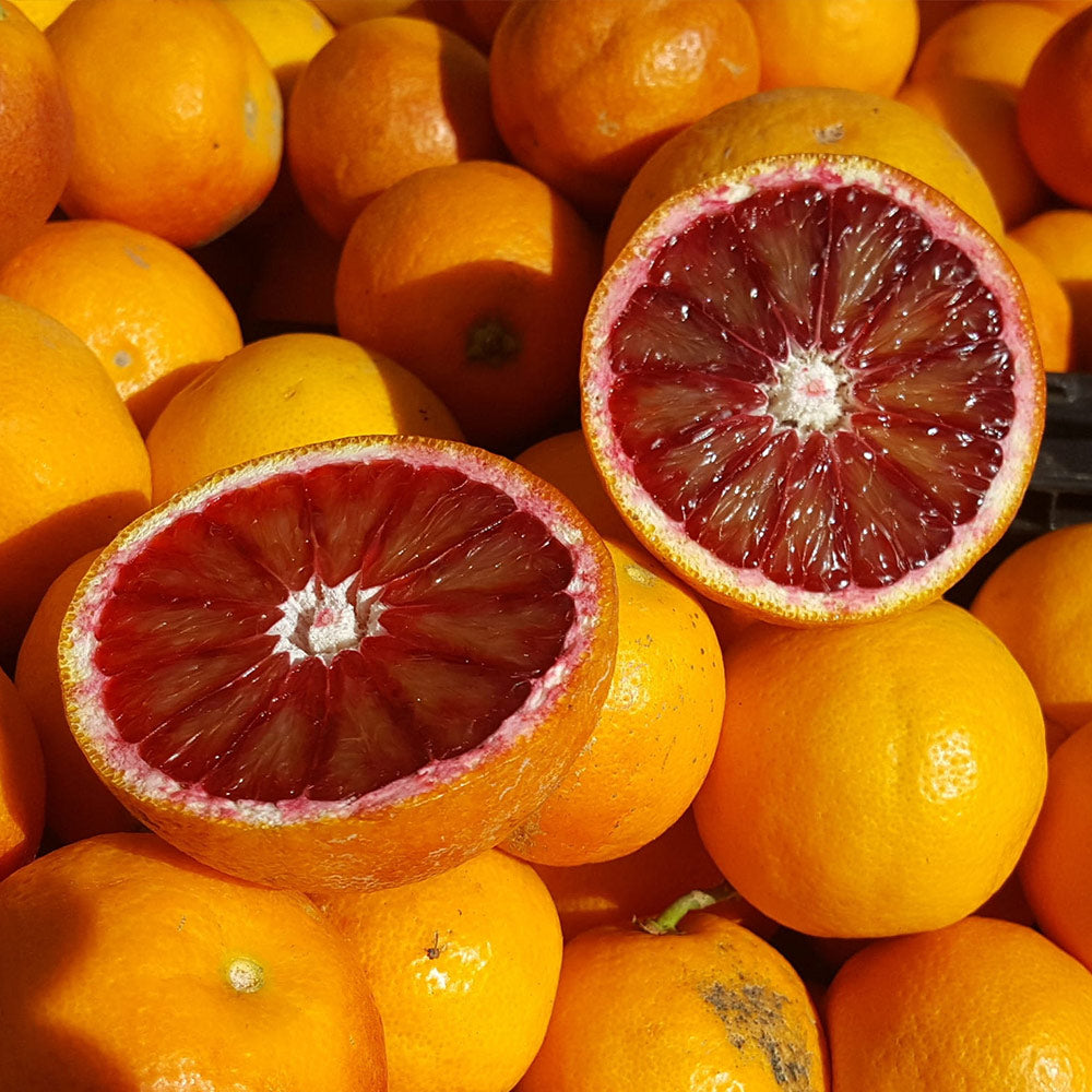 Blood Orange Hydrosol Organic Facial Tonic | evanhealy