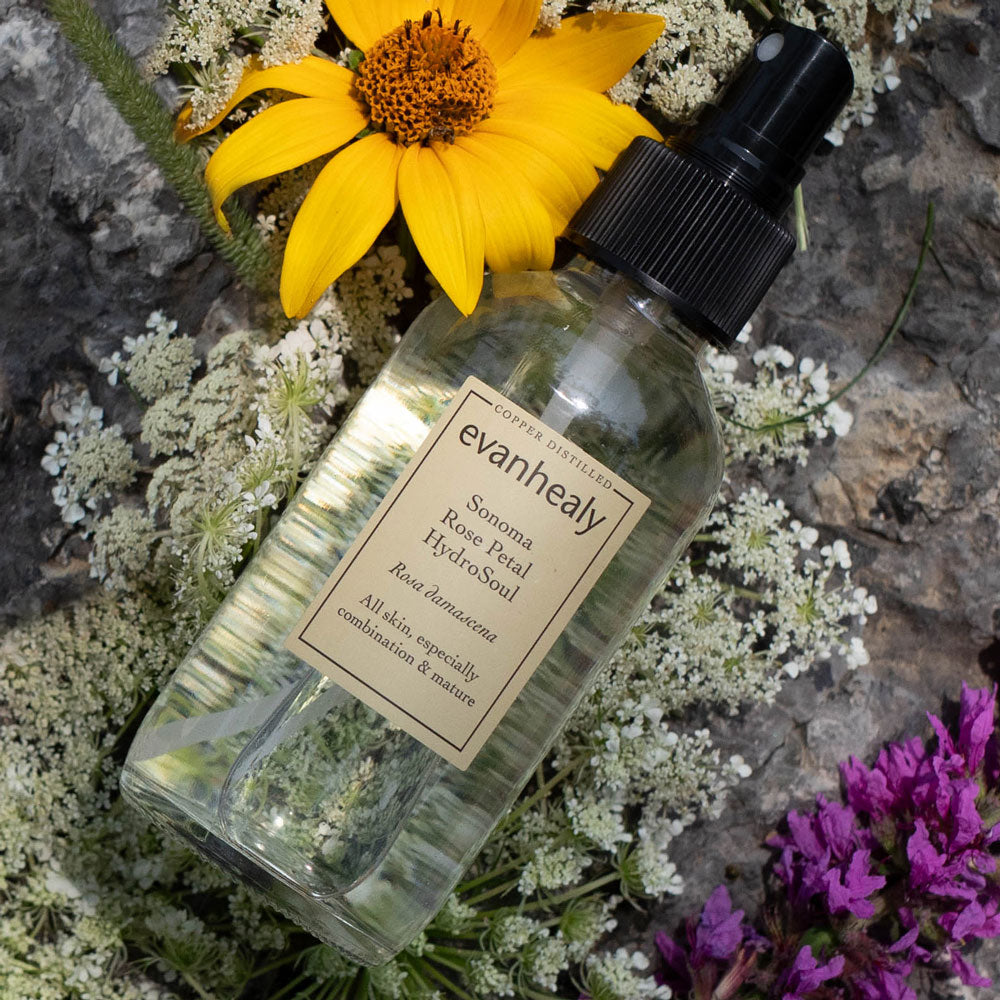 Rose Petal Hydrosol Copper-Distilled Facial Toner | evanhealy