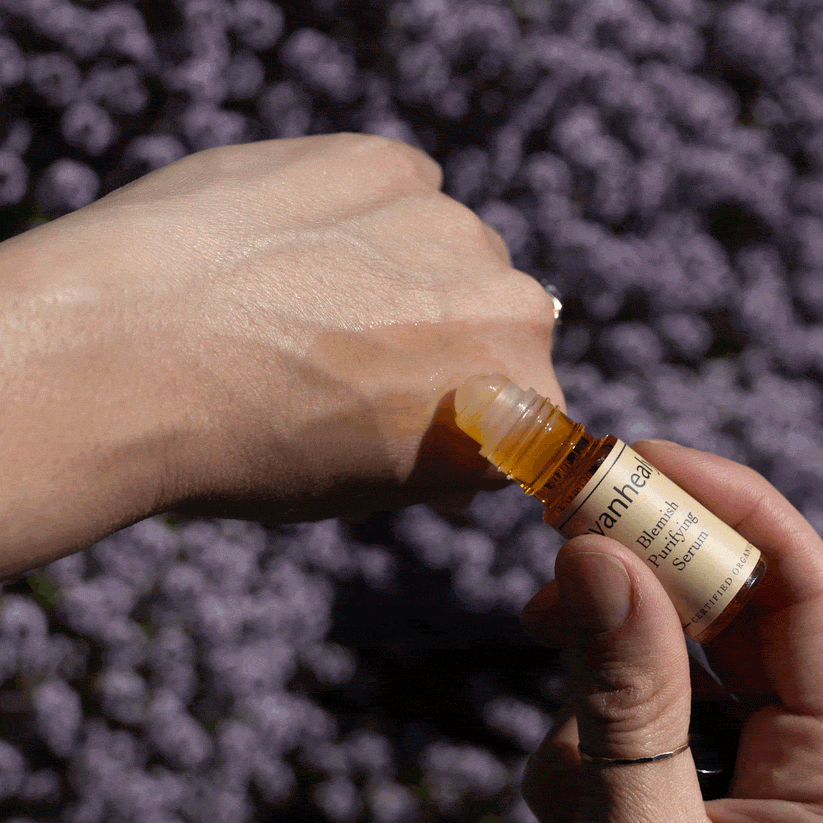 Purifying Blemish Spot Treatment for Face | evanhealy