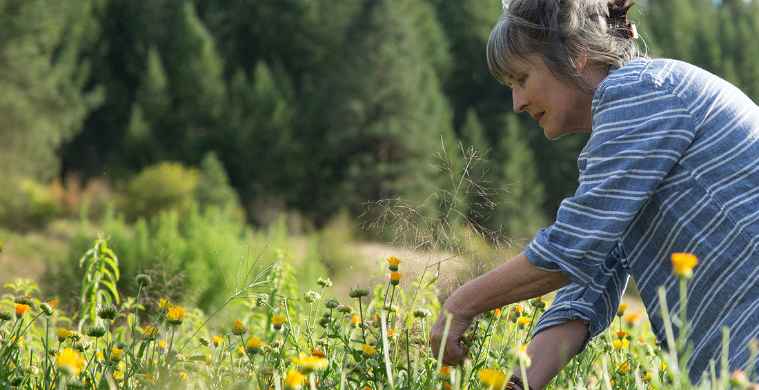 Learn More About Us – evanhealy