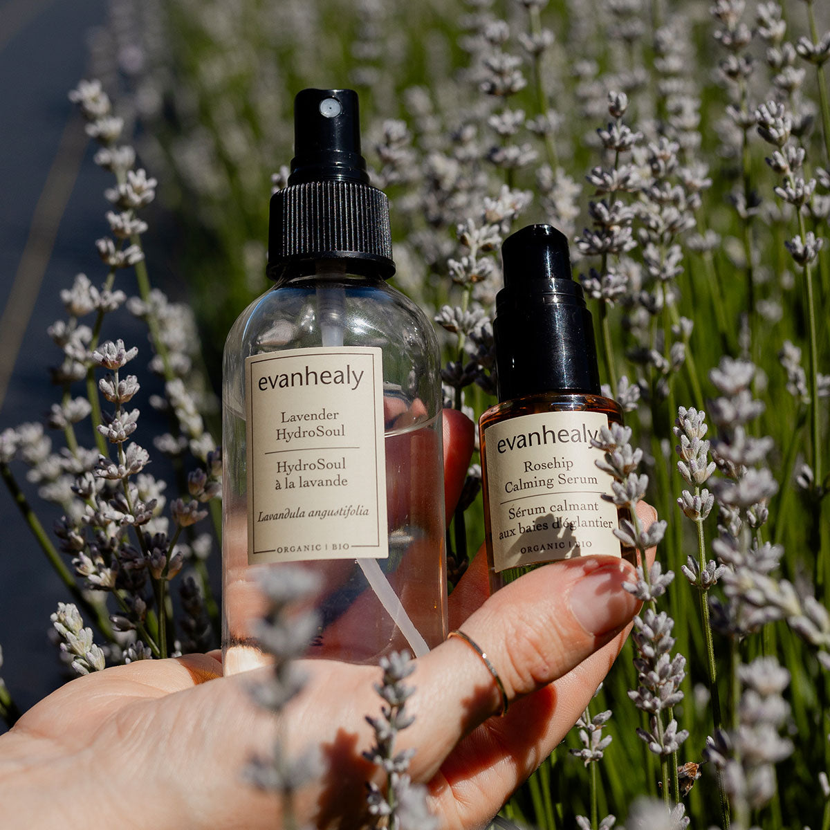 Dry & Sensitive Skin Care Kit | evanhealy