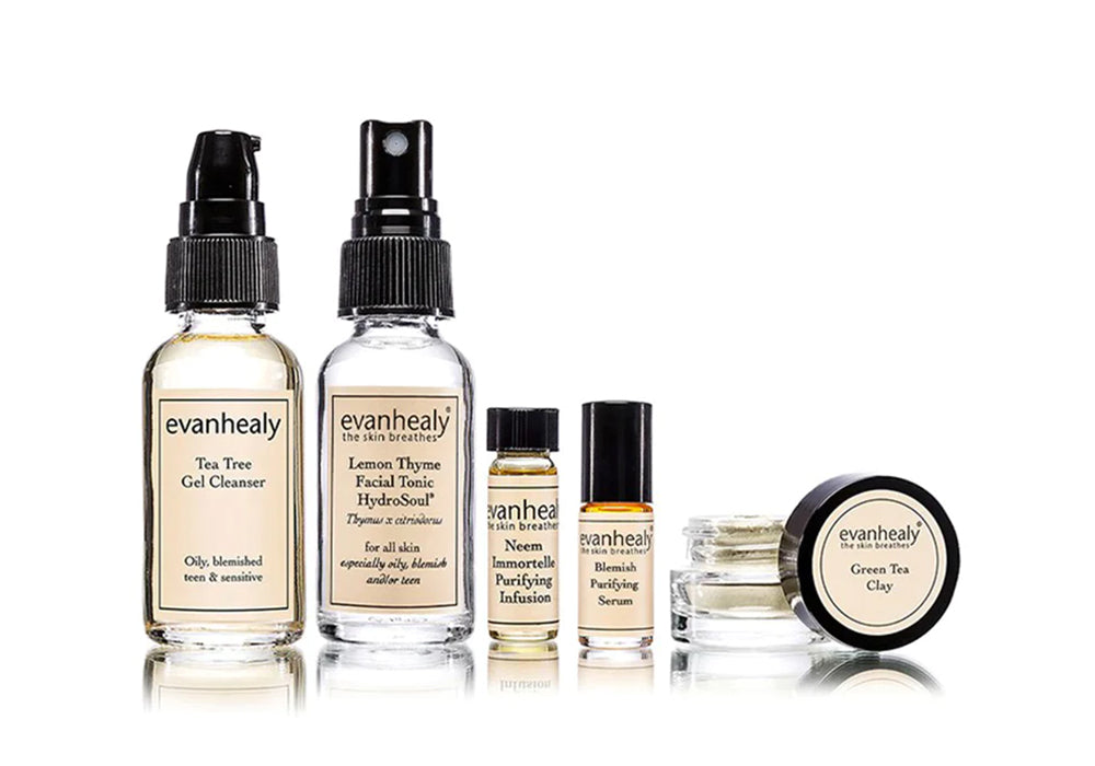 Starter Sets – evanhealy