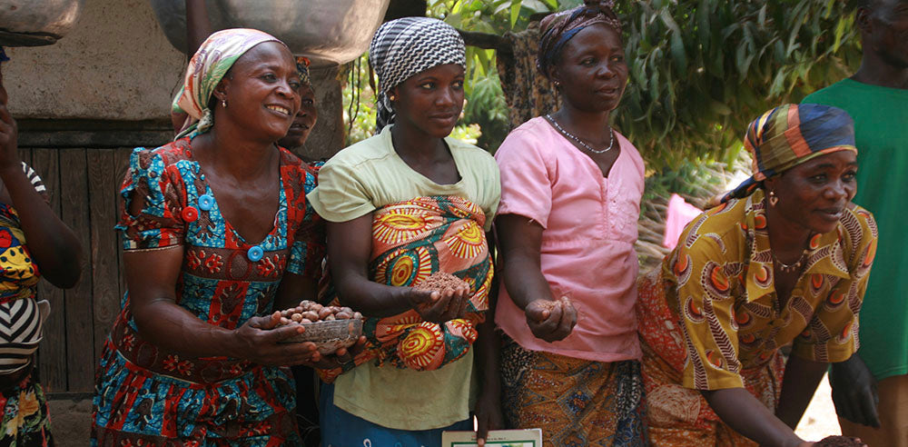 evanhealy Organic Skin Care Products | Natural Skincare Line