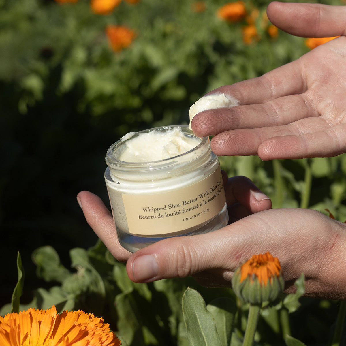 Celebrating Our Regenerative Organic Certified Herbs from Oshala Farm – evanhealy